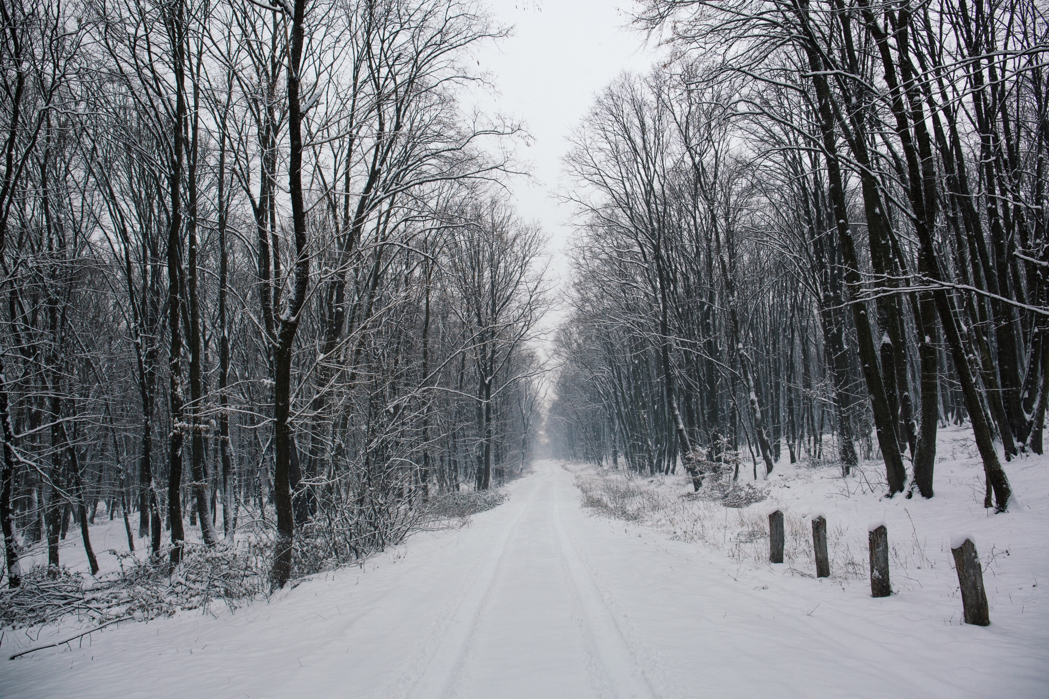 5 Tips For Snowy Winter RVing | Outdoorsy.com