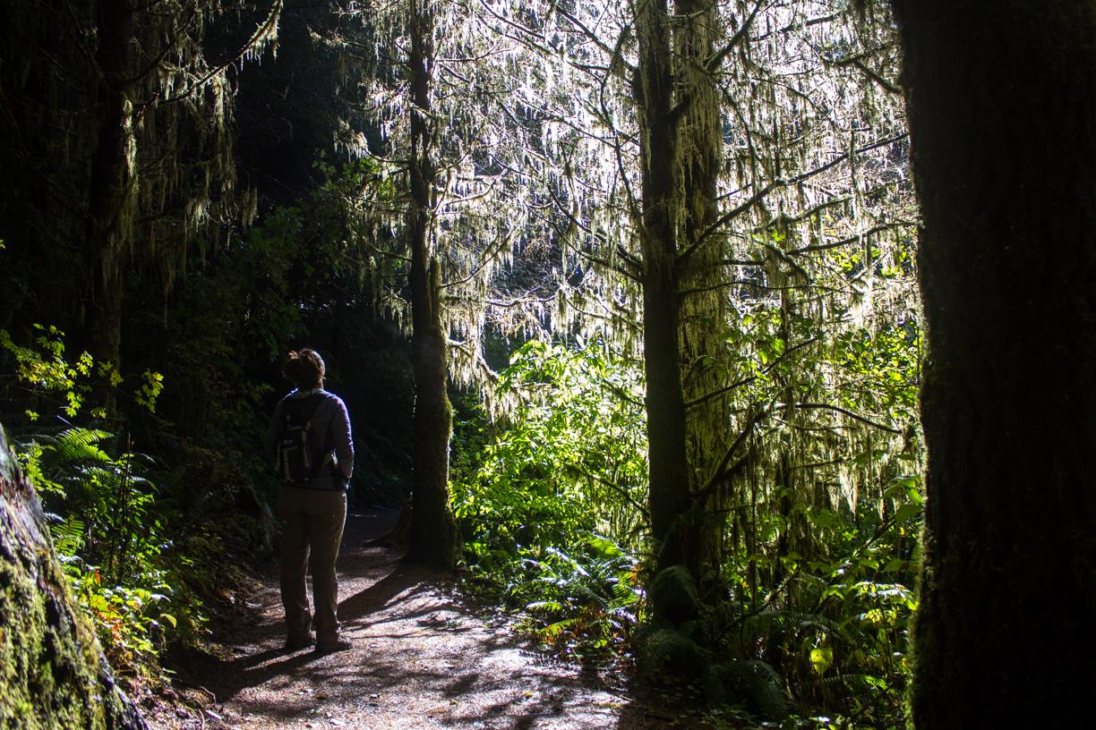 Things to Know for RVing in Oregon During the Winter | Outdoorsy.com