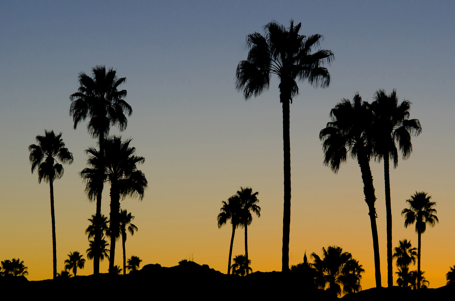 Weekend Getaway to Tucson, Arizona | Outdoorsy.com