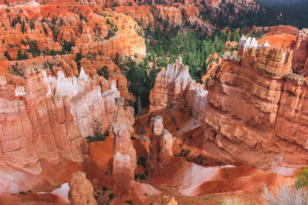 Seeking Fall Color In The Southwest | Outdoorsy.com