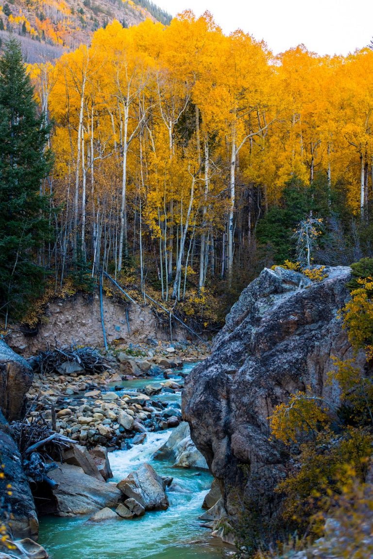 Seeking Fall Color In The Southwest | Outdoorsy.com