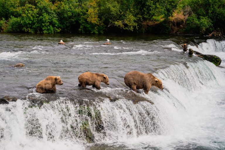 Top 10 Smaller (and Less-Crowded) National Parks to Visit This Summer ...
