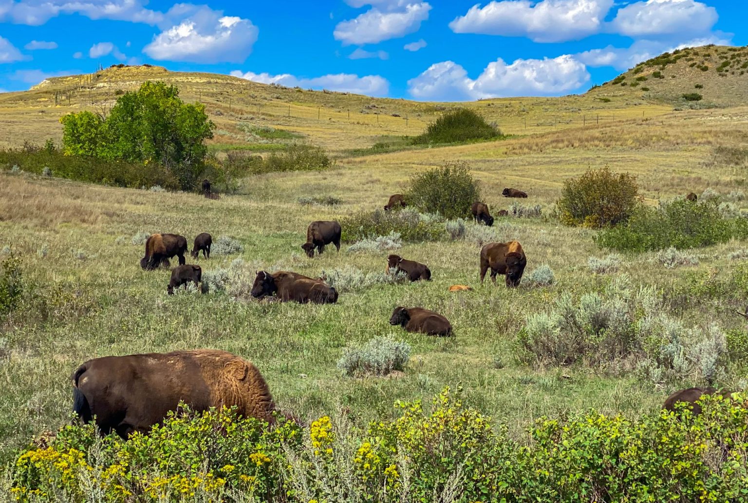Top 10 Smaller (and Less-Crowded) National Parks to Visit This Summer ...