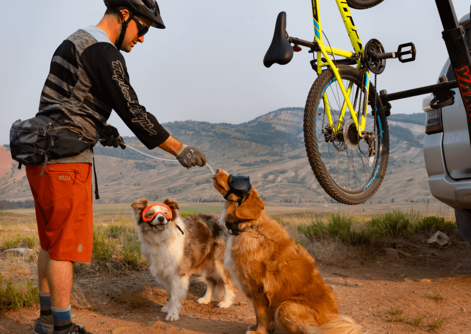 5 expert tips for traveling with dogs | Outdoorsy.com