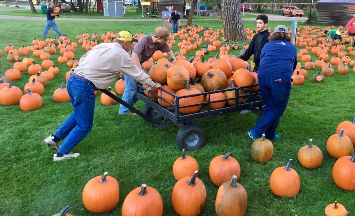10 pumpkin patches worth planning a trip around | Outdoorsy.com