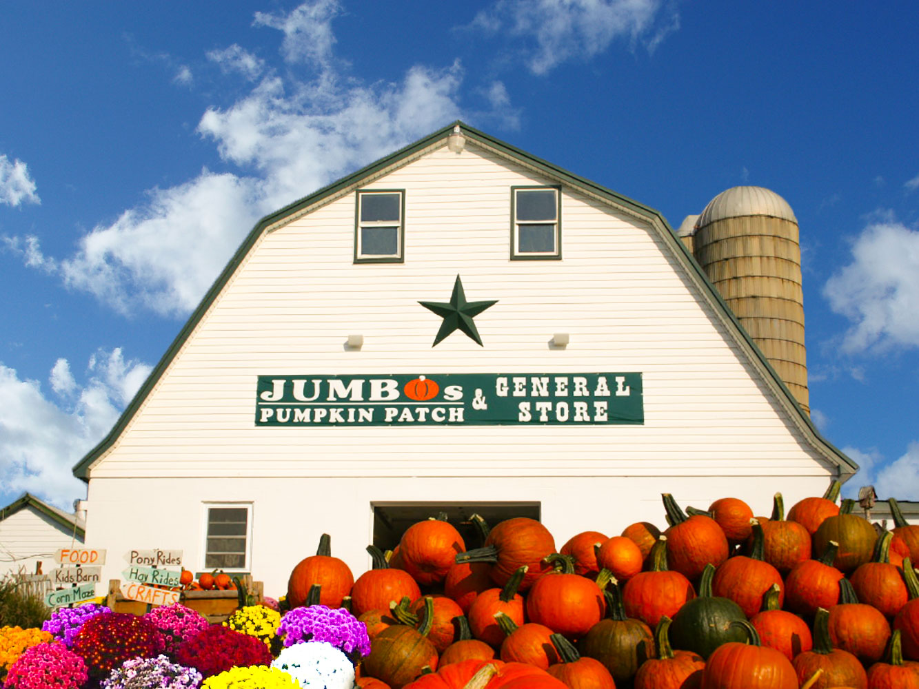10 pumpkin patches worth planning a trip around | Outdoorsy.com