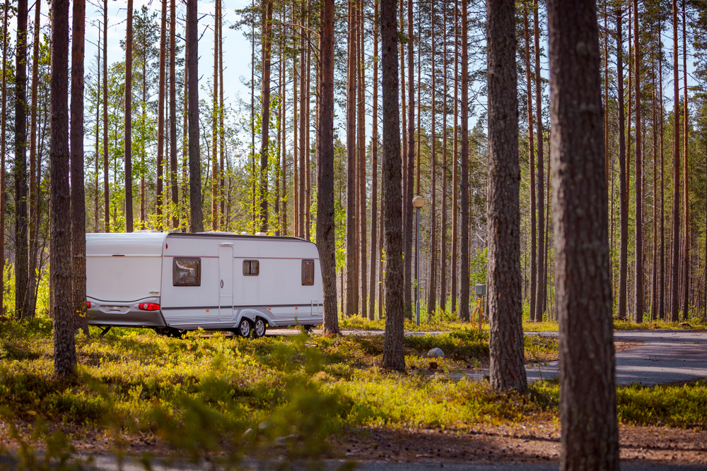 Most popular national forests for RVs | Outdoorsy.com