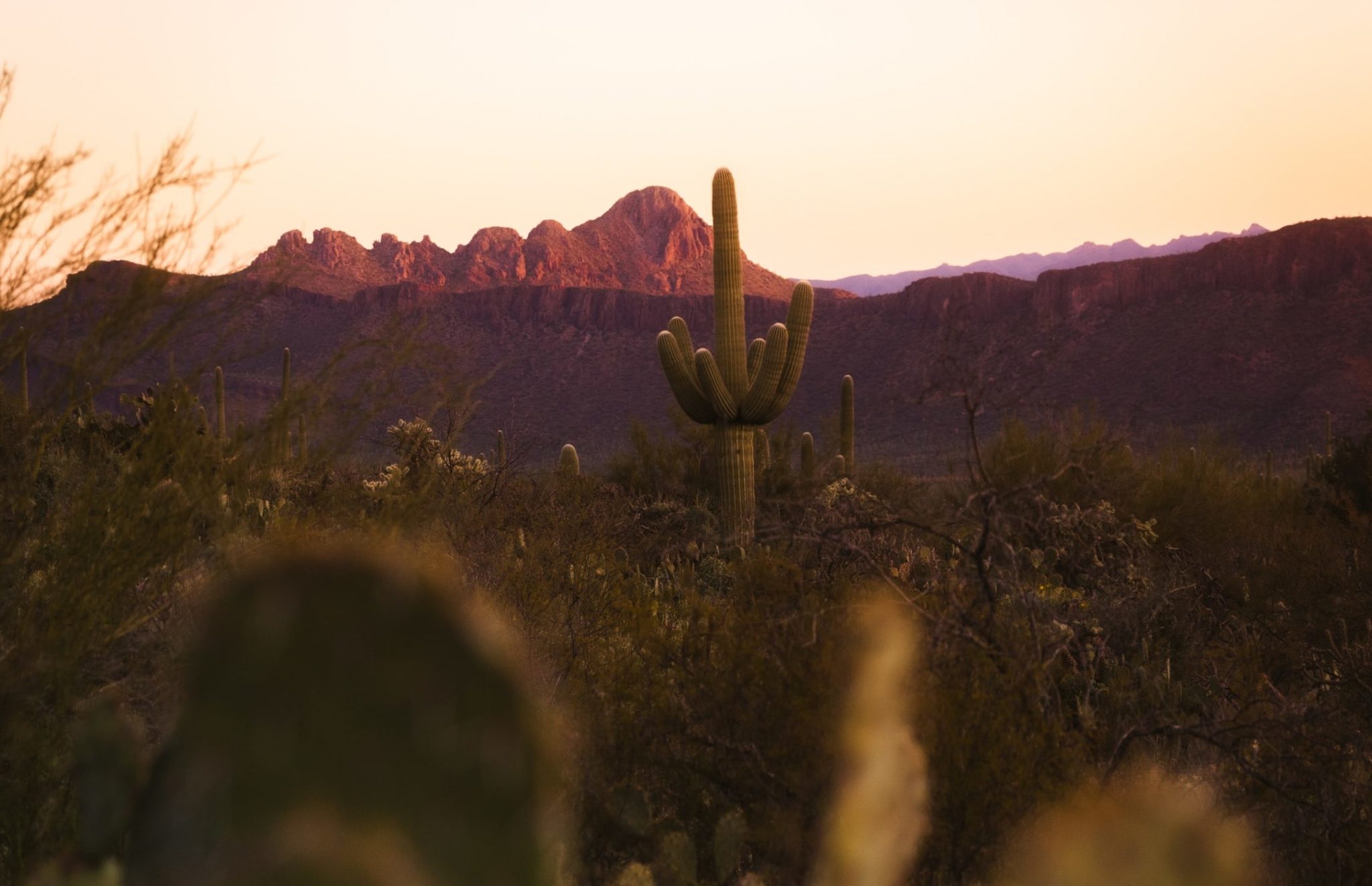 Arizona campgrounds: 10 best RV parks in Tucson, AZ | Outdoorsy.com
