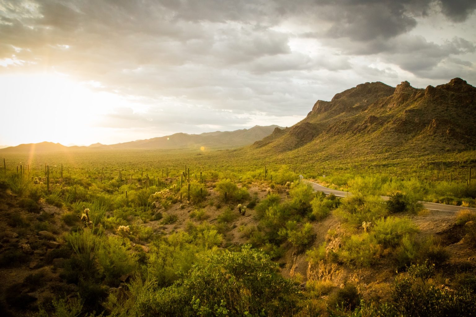 Arizona campgrounds: 10 best RV parks in Tucson, AZ | Outdoorsy.com