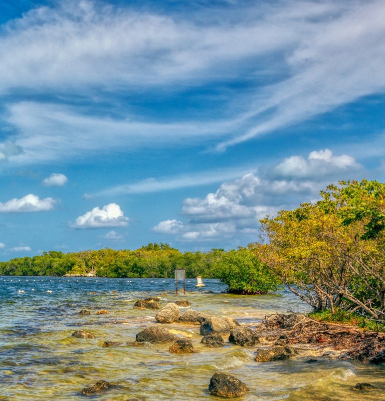 RV Parks in The Florida Keys: A Complete Guide | Outdoorsy.com